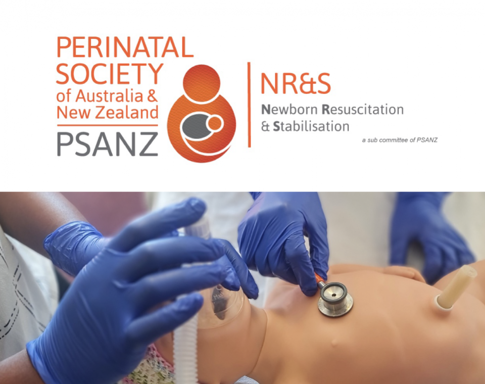 Standardised Newborn Resuscitation Training Working Group | Newborn ...